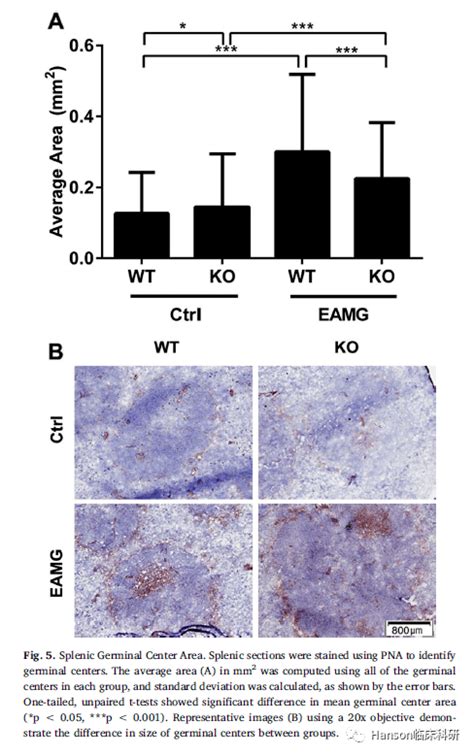 临床科研中经典的免疫研究思路细胞因子