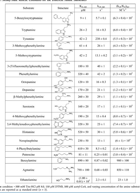 Cellular Amide Metabolic Process Semantic Scholar