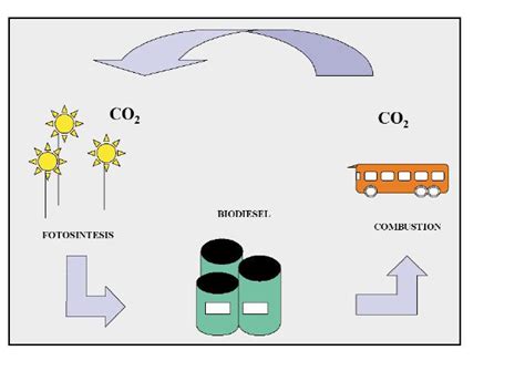 Quimica Organica Pi Proceso Integrado Biodiesel
