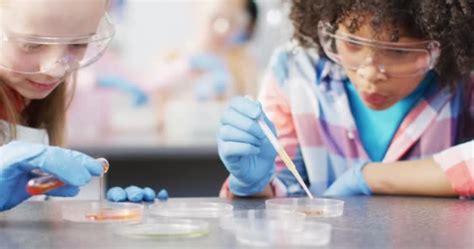 1611 Vídeos De Scientific Class Metraje De Scientific Class Sin