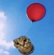 Floating Cat S Tenor