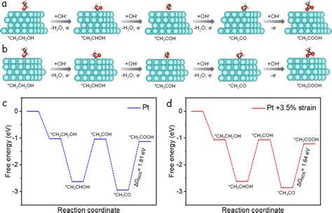A And B Schematic Illustration For The Ethanol Oxidation Pathway On