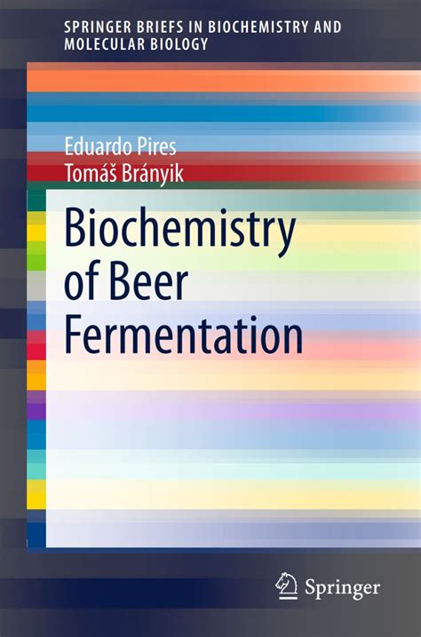 Biochemistry Of Beer Fermentation Premiumjs Store