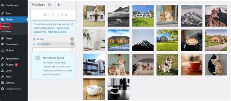 How To Keep Your Modula Galleries Organized With Real Media Library