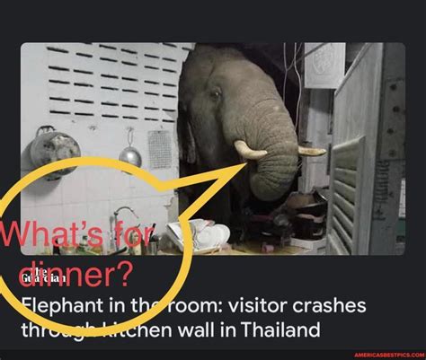 Diner Ephant In Visitor Crashes En Wall In Thailand Americas Best