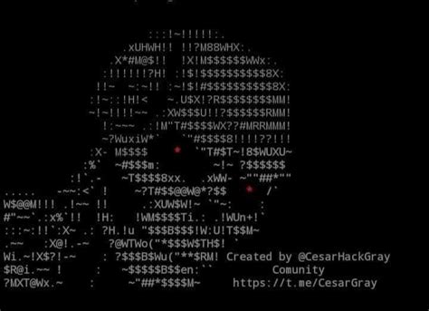 Ascii Art What Are You Looking For