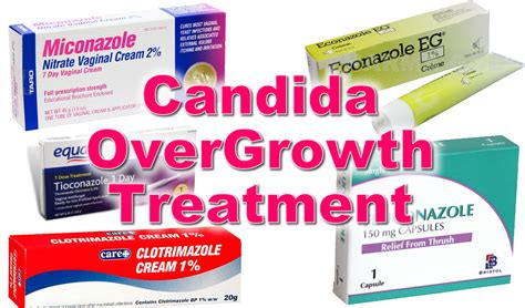The Candida Treatment Candida Treatment