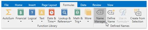 Name Manager WPF Controls DevExpress Documentation