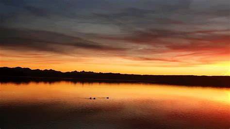 Dr Sneha Kumar On Linkedin New Year Greetings To Each One In My Network And Beyond Stay Safe And