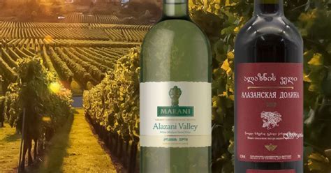Alazanivalleywines 600x315w