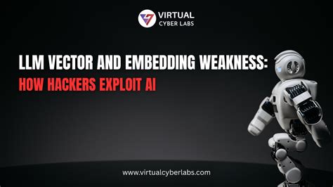 Llm Vector And Embedding Weakness