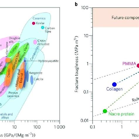 A Ashby Chart Of Strength Versus Youngs Modules Of Elasticity Download Scientific Diagram