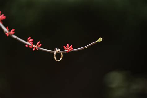 An Engagement Story Ali Blair Barwick And Steve Wolff Robert Ryan Catering And Design