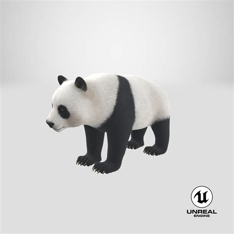 Giant Panda 3d Model 149 Max Ma Lxo Obj Fbx C4d Unitypackage