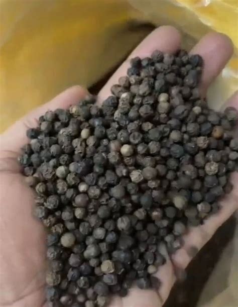 Blackpepper Kerala Export Anita Gaikwad