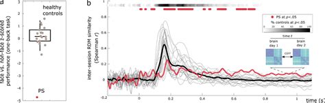 Behavioural Performance And Reliability Of Brain Representations Across Download Scientific