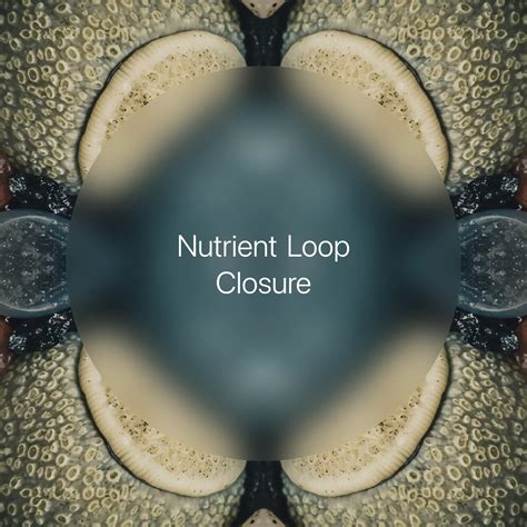 Nutrient Loop Closure → Term