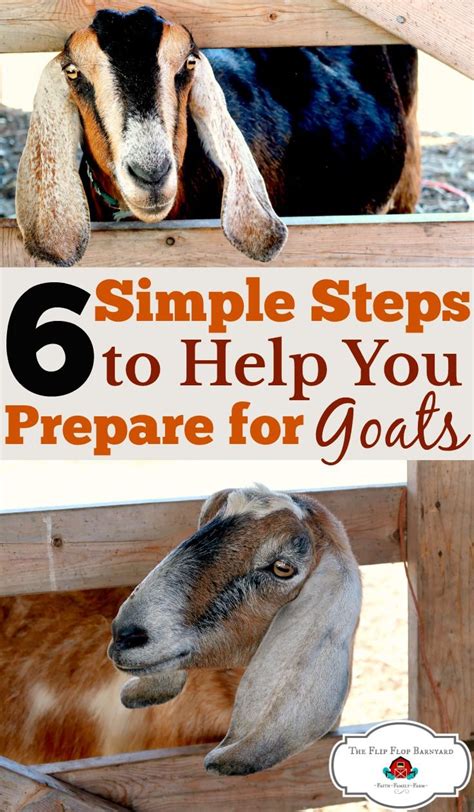 4 Tips For Raising Goats Naturally Reformation Acres Raising Goats