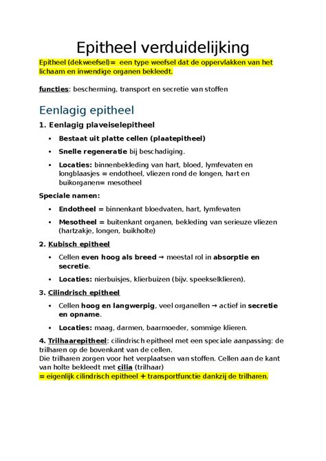 Epitheel Weefsel Functies En Soorten Uitleg Studocu