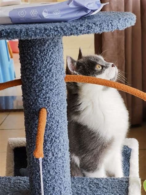 白勺 的想法 阿叭阿叭，真是无聊的一天 知乎