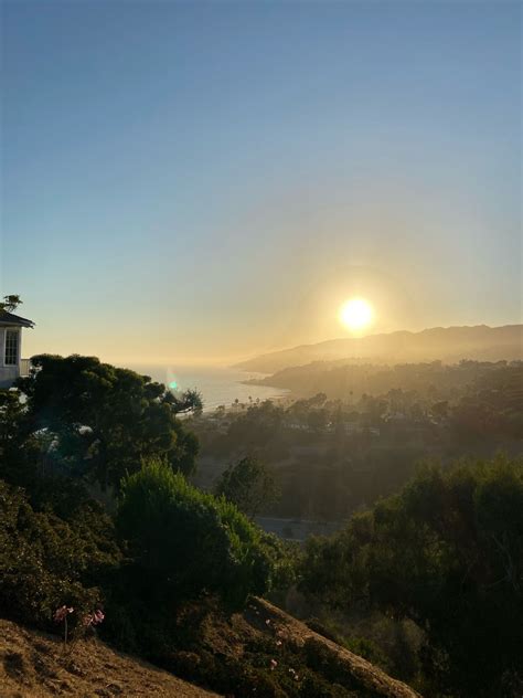 Palisadesfire Communitymatters Socal Angelino Daniela Van Eickels