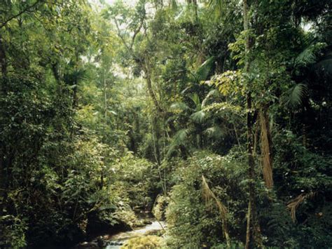 Thomas Struth Artworks For Sale And More Artsy