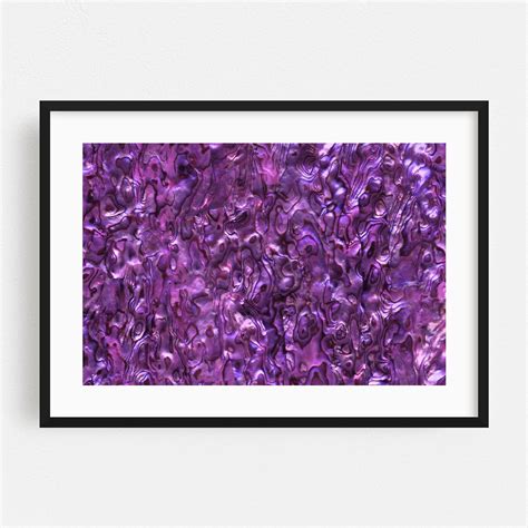 Abalone Shell Paua Shell Sea Shells Patterns In Nature Violet