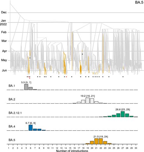 Discrete Phylogeographical Analysis Of Omicron In New Zealand Top
