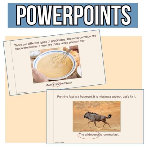 Sentence Building Visual Sentence Building Special Education Middle