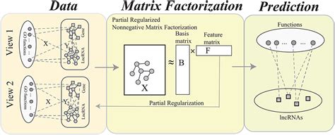 Frontiers Multiple Partial Regularized Nonnegative Matrix