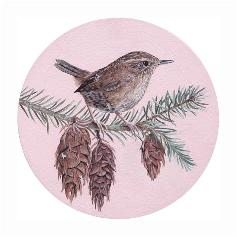 Ruby The Pacific Wren Limited Edition Reproduction — Bekah Zeimetz Art