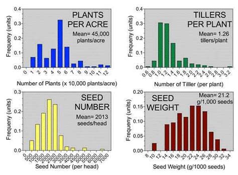 Agronomy Eupdate September 11th 2020 Issue 818