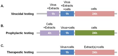 In Vitro Anti Influenza Virus Activity Of Non Polar Primula Veris Subsp