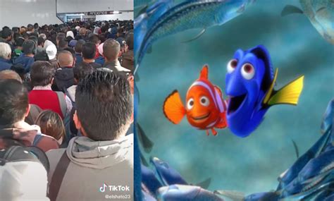 Usuarios Del Metro Abarrotan Pantitlán Y Recrean Buscando A Nemo” Al