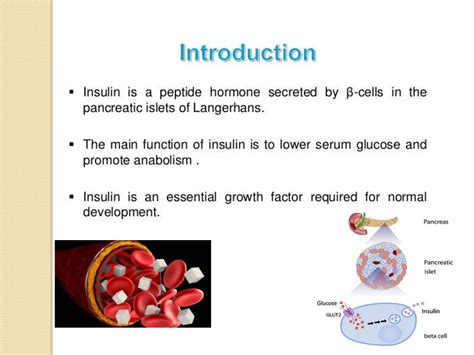 Role Of Insulin In Health And Disease A Polypeptide Hormone Ppt