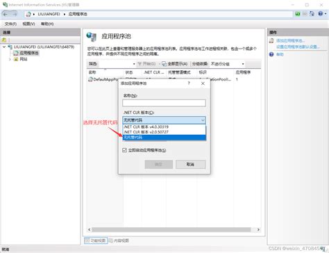 Net6项目部署iis步骤 Iis Net6 Csdn博客