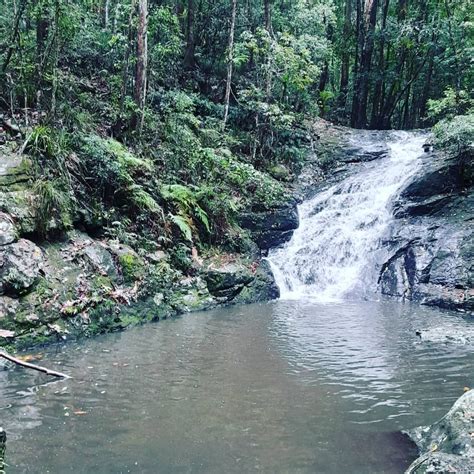 Asher Walter On Tumblr