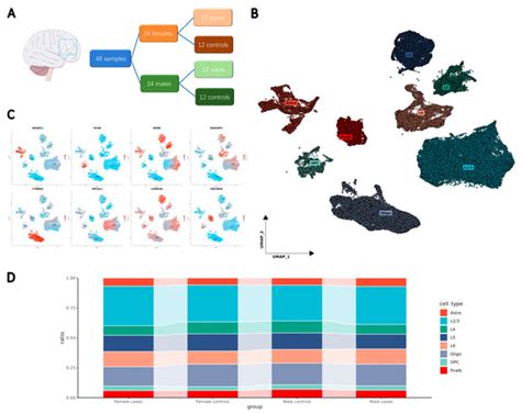 Single Cell Transcriptional Profiling Reveals Cell Type Specific Sex