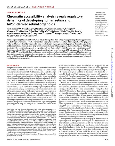 Pdf Chromatin Accessibility Analysis Reveals Regulatory Dynamics Of Developing Human Retina