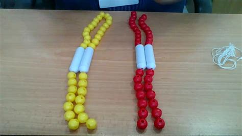 Mitosis Modeling Pop Beads Youtube