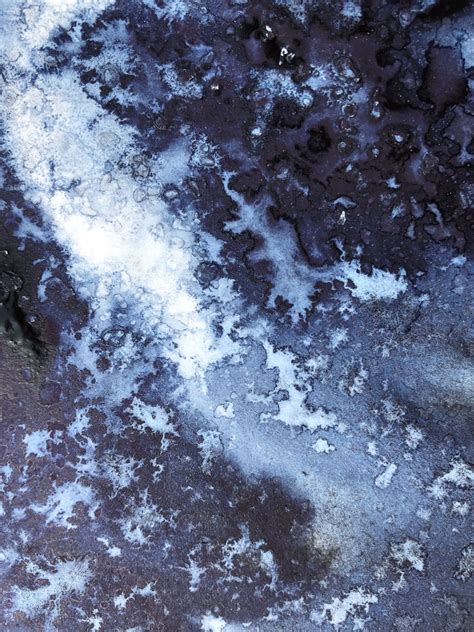 Seqcode Towards A Unifying System For The Naming Of Cultured And Uncultured Prokaryotes