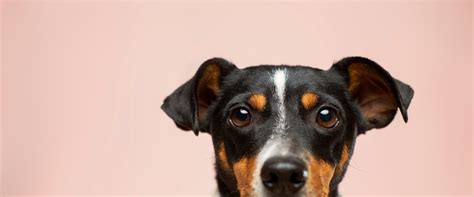 40 Years With Penn Elcom