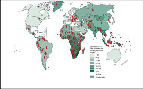 Figure 23 From Characterization Of Mycobacteria Spp And
