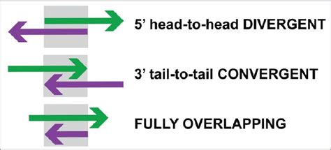 Classification Of Sense Antisense S As Pairs Sense Genes Are In