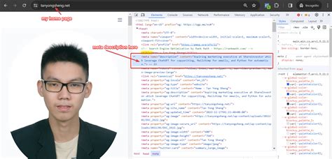 Wrong Meta Description Upon Search Rseogrowth