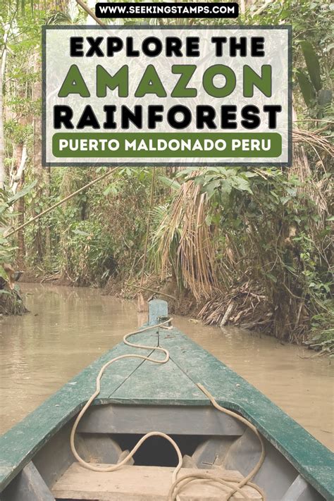 Peru Travel Explore The Amazon Rainforest And Puerto Maldonado Peru
