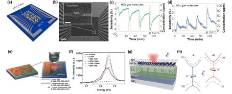 Color Online Other Applications Based On 2d Tmds Hetero Structures