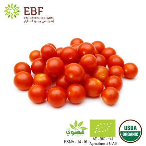 Organic Round Cherry Tomato 250gm Emirates Bio Farm
