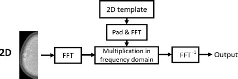 Convolutional Neural Network Model Observers Discount Signal Like