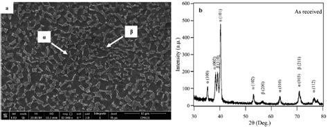 Fesem Micrograph Of Tc21 Ti Alloy A And Xrd Pattern Of Tc21 Ti Alloy B Download
